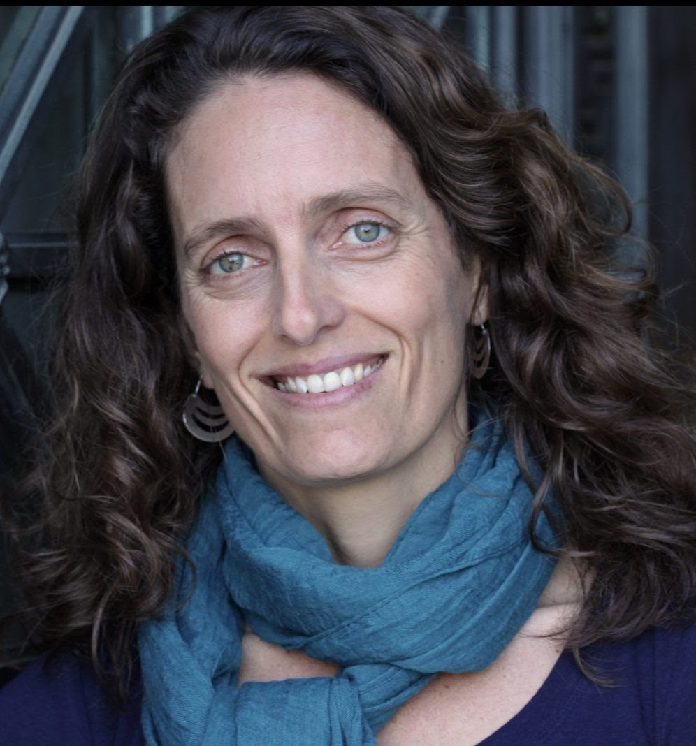 "The End of Official Color-Blindness and the Rise of Anti-anti-racism ...